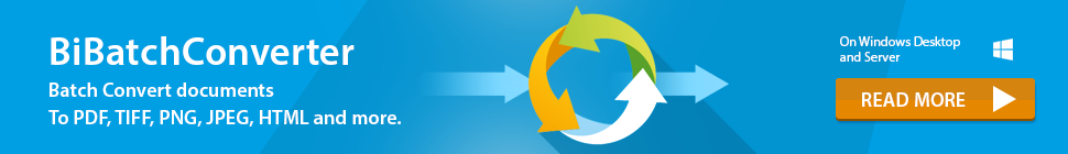 Leader in Document Converter, Printing, Faxing and Imaging Technology - Black Ice Software