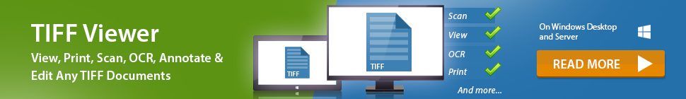 Leader in Document Converter, Printing, Faxing and Imaging Technology - Black Ice Software